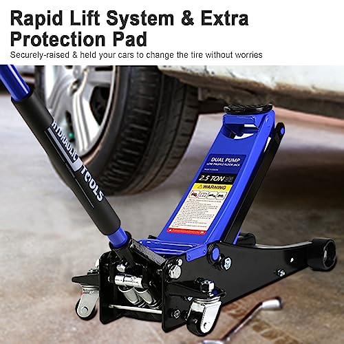 Lyromix 2.5 Ton Floor Jack, Steel Low Profile Car Jack with Dual Pump Hydraulic Car Quick Lift System, Heavy Duty Service Jack for Garages/Repair Shops/DIY, Lift Range 3.5”to 19.5", Blue/Black