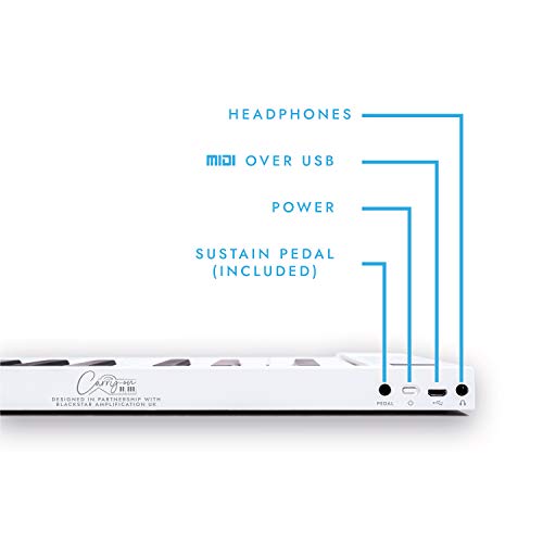 Carry-On, 49-Key Portable Keyboard (FOLDPIANO49)