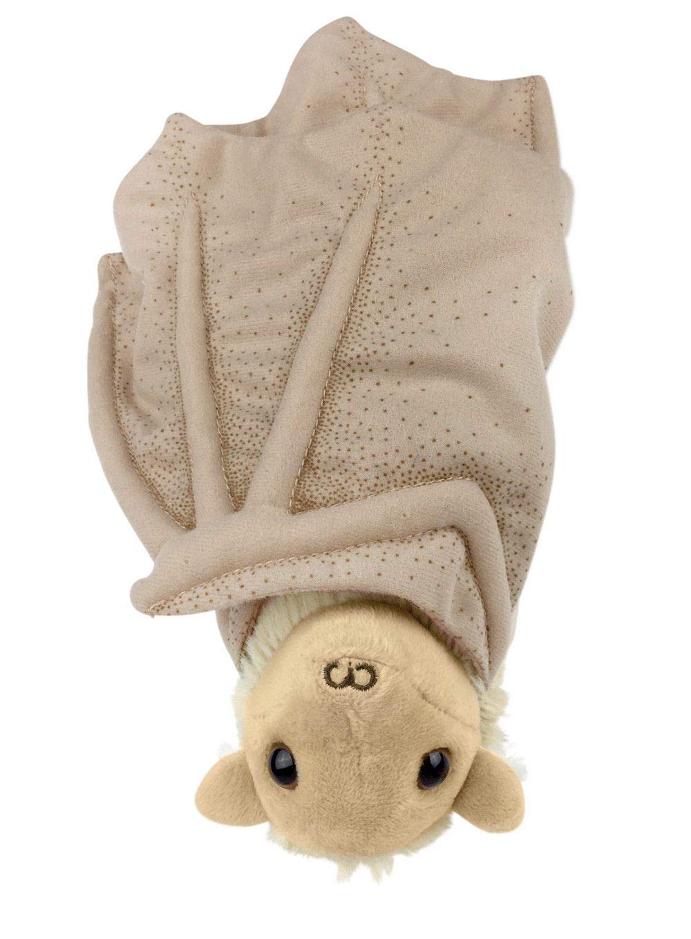 Stellaluna Gift Set Special Edition Hardcover by Janell Cannon, Stellaluna Stuffed Animal, Activity Booklet, Downloadable Crafts with Activity Kit and Create a Bat Artwork Gift Set