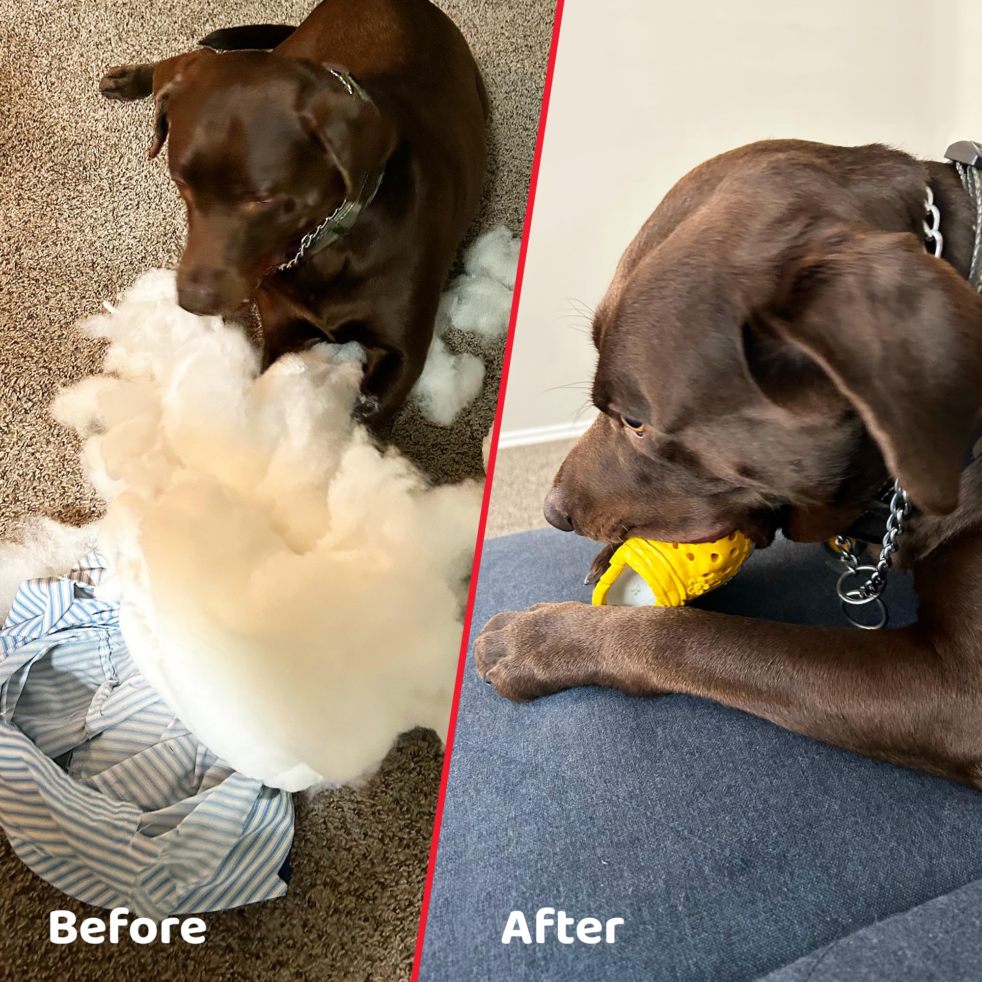 Generic Durable Rubber Slipper Dog Toy for Aggressive Chewers β Interactive Toy for All Breeds β Tough, Indestructible, and Ideal for Pet Training & Teeth Cleaning, Yellow