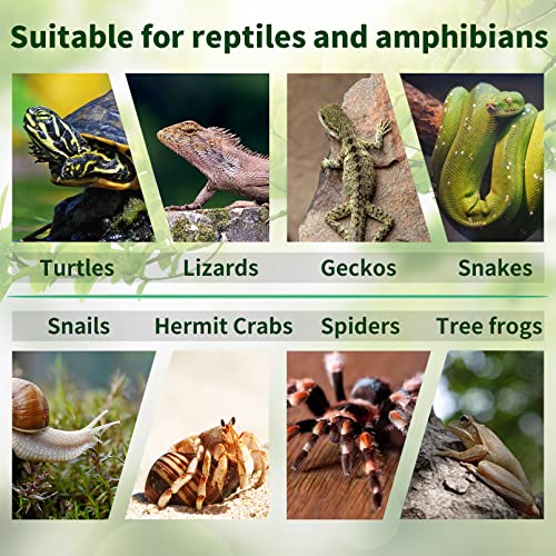 Hamiledyi Compressed Coconut Fiber Substrate,2 Pcs Tortoise Bedding Bricks Natural Hermit Crab Soil Soft Reptiles Terrarium Supplies for Snake Bearded Dragon Gecko Tarantulas Ball Python