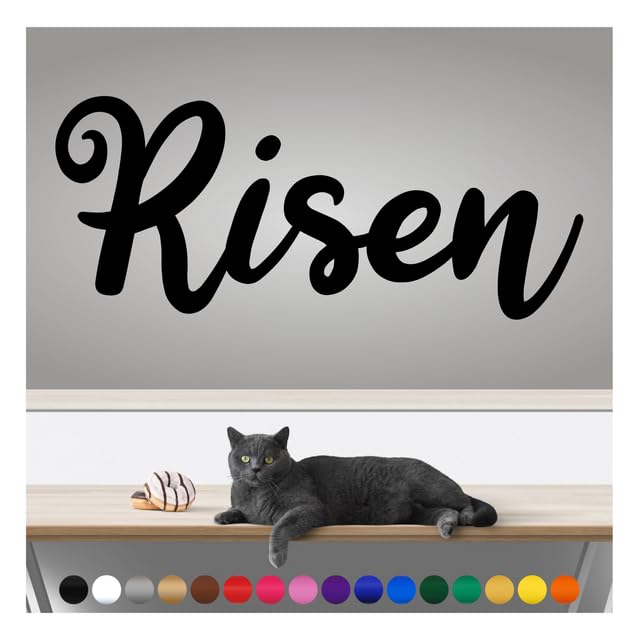 Transform Your Walls with Professional Grade, Outdoor Weatherproof Vinyl Stickers - Happy Sunday - UV Resistant, Made in The USA! Inspirational Words: Risen: 14 Inch, Satin Silver