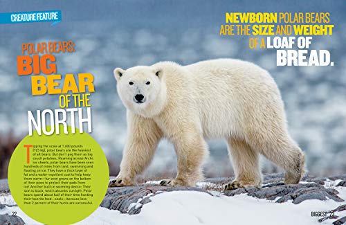 National Geographic Kids Extreme Records