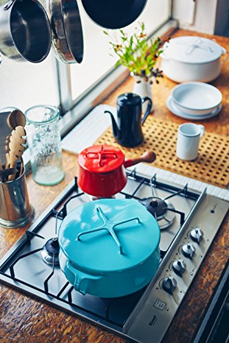 DANSK 833297 Koben Style Double Handed Pot, 7.1 inches (18 cm), 2.2 L., Induction Compatible, Turquoise/Teal, Oven Safe, Enameled