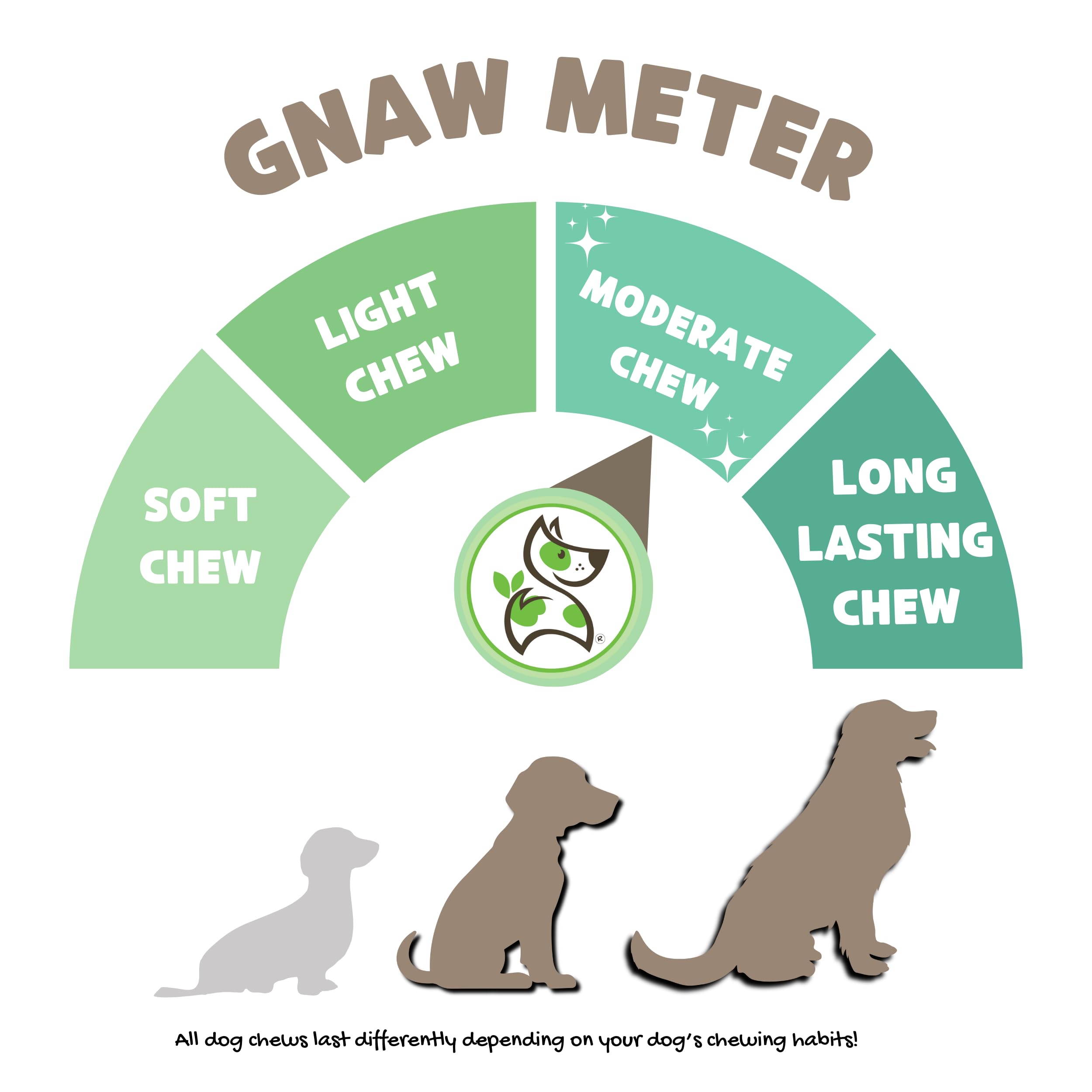 Nature Gnaws Beef Gullet Chews for Large Dogs 9-10" (10 Count) - Natural Beef Jerky Stick Dog Chew Treats - Rawhide Free