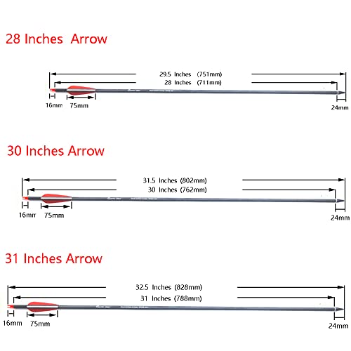 COLORFUL EAGLE 28/30/31 Inches Spine 300/400 Pure Carbon Arrows with Red and White Color for Recurve/Compound Bows Archery Hunting (Pack of 12) (Spine 400, 28 Inches)