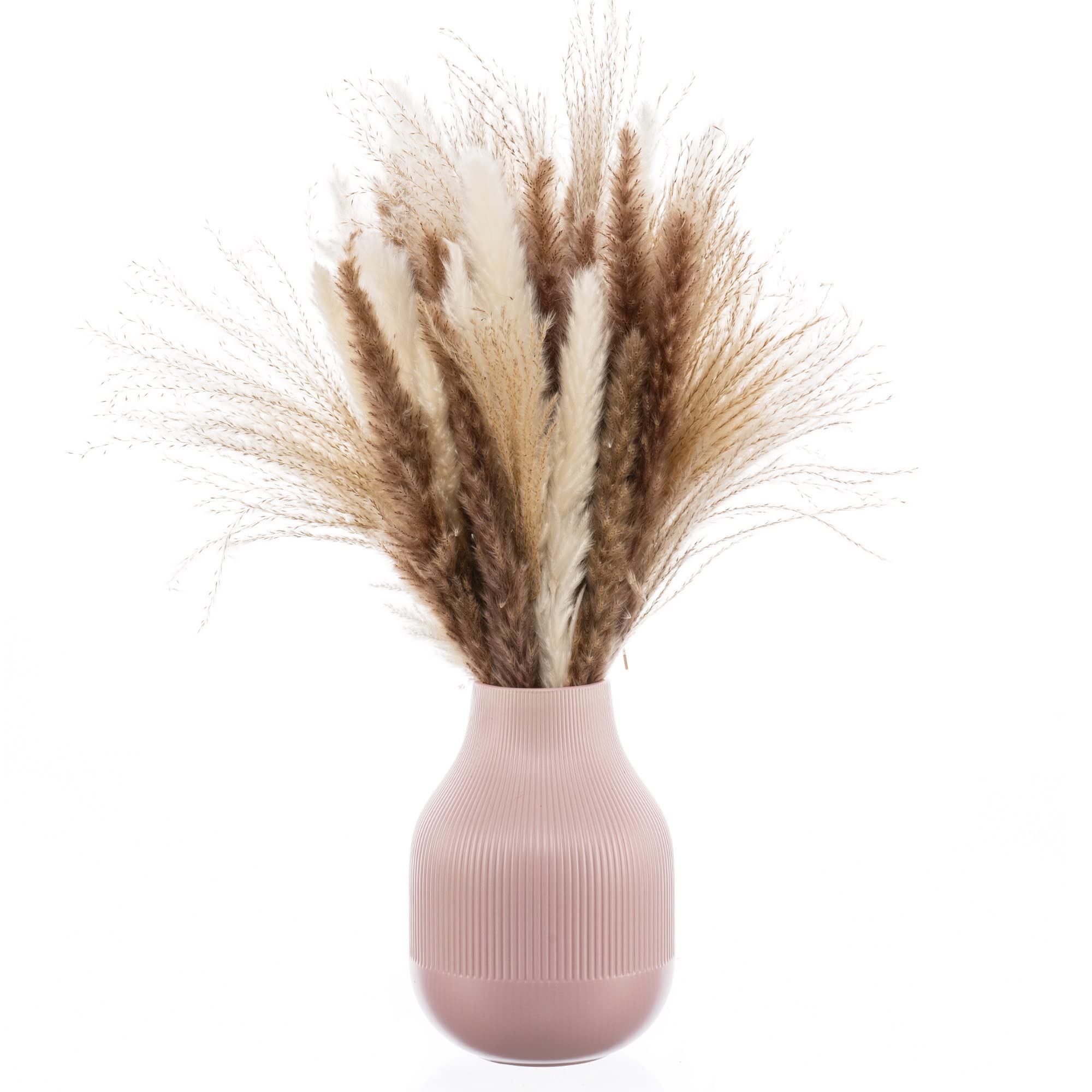 Spear SLENDERSUN Orchid Bouquet Dried Pampas Grass – Pack of 60 Pcs Tall Stems (17,7”) Soft & Fluffy Floral Bouquets Minimalist, Rustic, Luxury Home Garden Décor, White, Brown, Reed