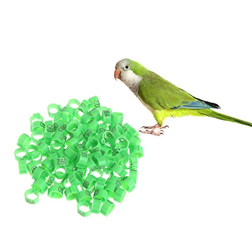 luosh Leg Number Bird Bands,100 Pieces Leg Rings for Canaries Birds Chicken Quail Dove Pigeon Foot Rings Training Supplies,10mm