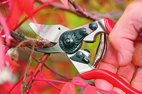 Felco Pruning Shears (F 6) - High Performance Swiss Made One-Hand Garden Pruners - 100052385