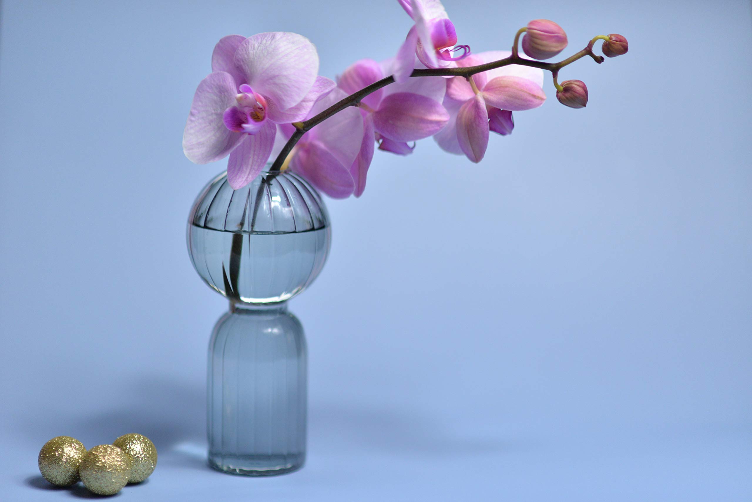 SVY Glass Vases Clear Crystal Flower with Modern Unique Design & Home Decoration, Ideal for Parties, Events, Gardens, Office, Weddings, Table (Gray)