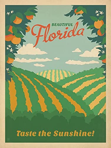 WZVZGZ Super Durable Vintage Tin Sign “Vintage Florida”,Cafe Home Farm Supermarket Bar Pub Garage Hotel Diner Mall Garden Door Wall Decor Art,Novelty Bedroom Living Room Home Wall Art Decor