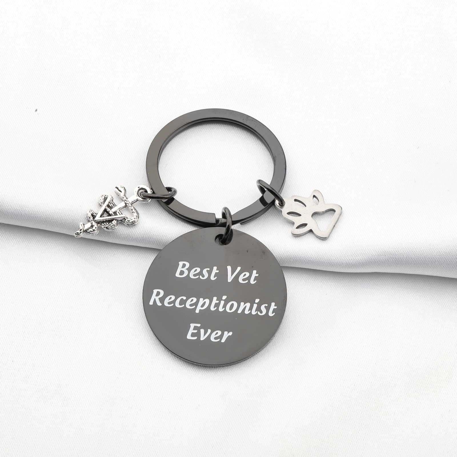 CENWA Vet Receptionist Gift Best Vet Receptionist Ever Keychain Veterinary Assistant Vet Nurse Gift (Best Vet black k)