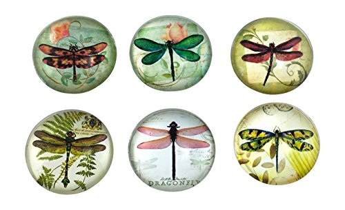 Value Arts Glass Dome Dragonfly Magnets, Assorted Set of 6