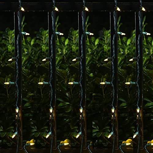 String Lights 100 Led Clear Mini Fairy Lights Christmas Lighting Decor AC 120V 35ft for Outdoor, Indoor, Garden, Patio, Lawn, Holiday, Bedroom Wedding Xmas