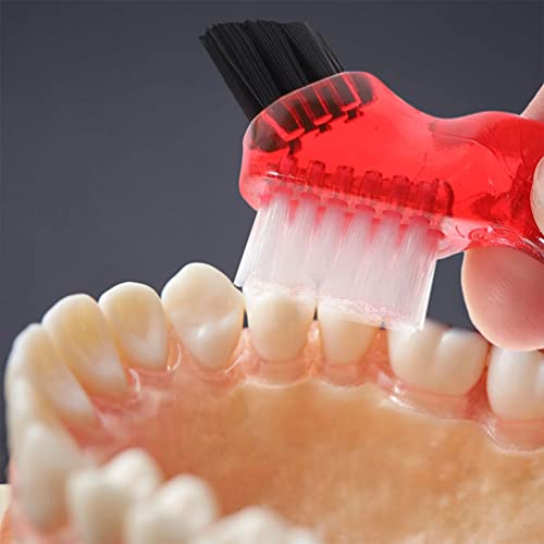 Healeved 3pcs Denture Cleaning Brushes Denture Brush Toothbrush Ergonomic Handle Denture Toothbrush Portable for False Teeth Cleaning