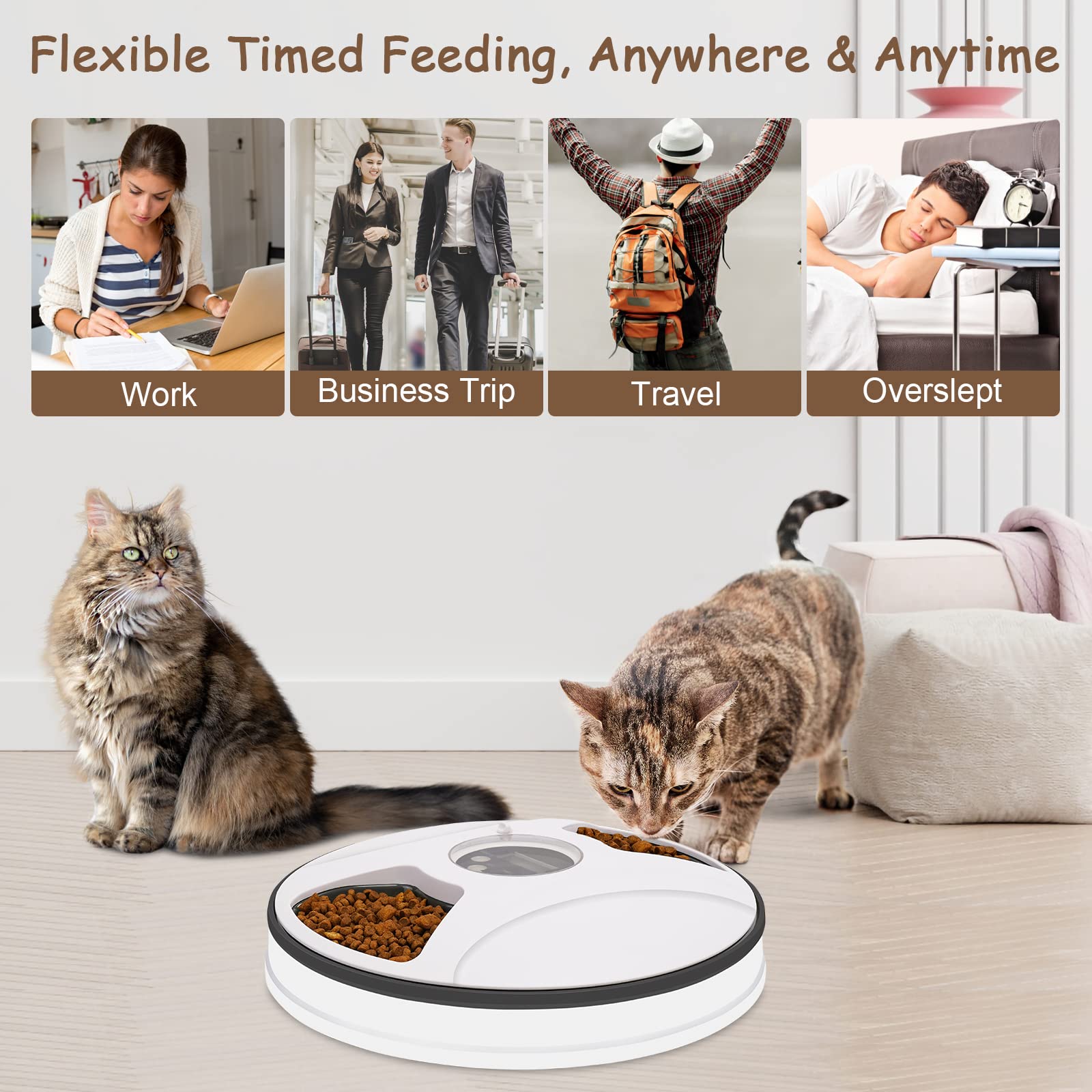 Chintu Automatic Cat Food Dispenser, 3 Meals Portion, Plastic, for 2 Cats, with Voice Reminder