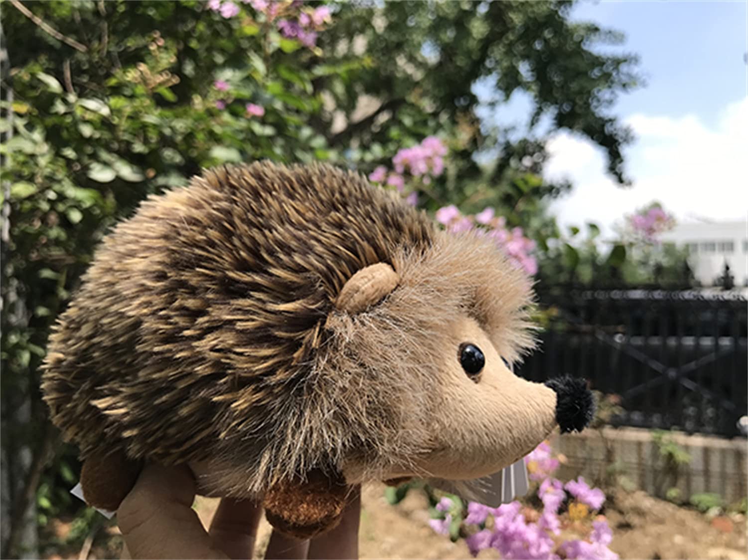 TAMMYFLYFLY Lifelike Hedgehog Plush Stuffed Animal Toy Hedgehog Cute HedgehogAnimal Model (15CM)