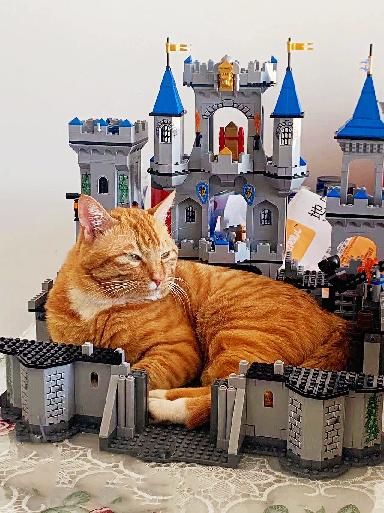 dadaguy Lion Knights Castle, European Medieval Castle Model Architecture Building Blocks kit Construction Building Model Set Toy for Adults and Kids