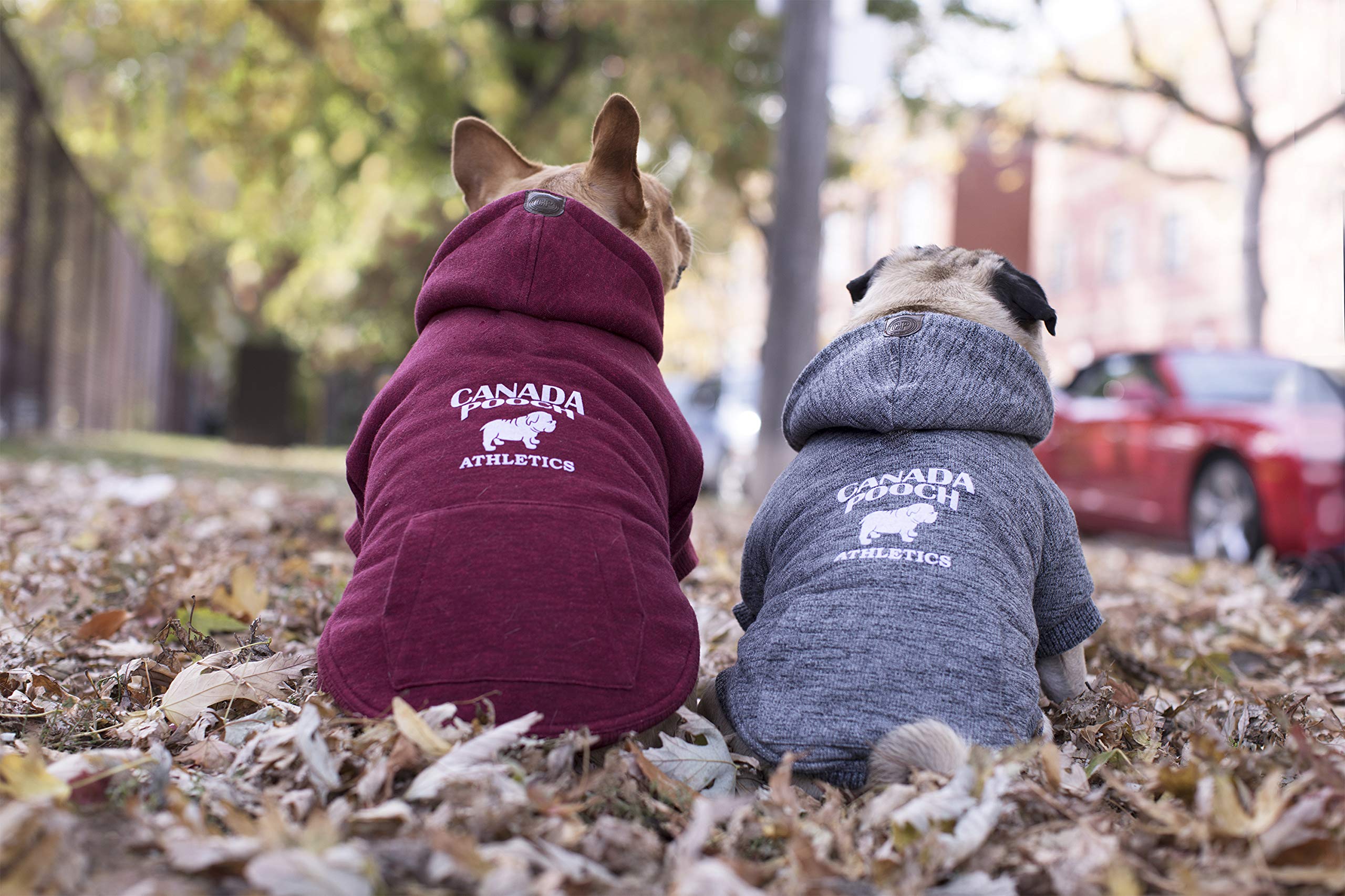 Canada Pooch Cozy Caribou Hoodie Marled Dog Coat, Size 12, Grey