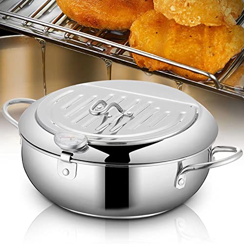 Deep Fryer Pot, 3.4L Tempura Deep Frying Pot 304 Stainless Steel with Temperature Control and Oil Filter Rack for French Fries and Chicken(9.5inchļ¼