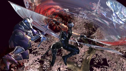 Ninja Gaiden II (Renewed)