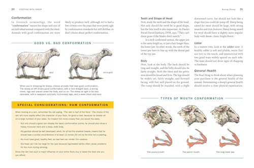 Storey's Guide to Raising Sheep, 5th Edition: Breeding, Care, Facilities