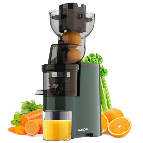 Cold Press Juicer, Juicer Machines with High Juice Yield,Easy to use Juice Extractor Maker For Full-Bodied Fruit & Veg Juice