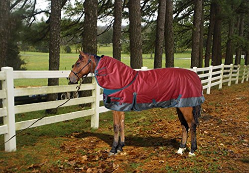 Turnout 1680D Horse Winter Waterproof with Neck Cover - Horse Blanket 001 - Size from 69" to 83" (75")