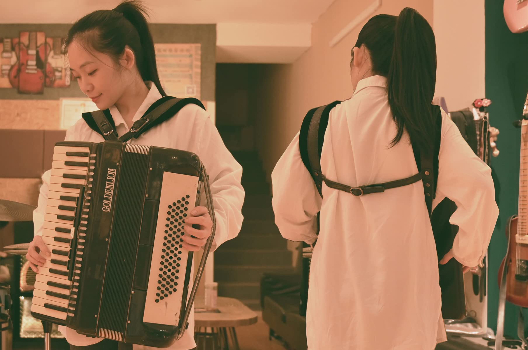 Rayzm Accordion Harness Straps, Adjustable Shoulder Belts Straps for Accordions, Thickened Synthetic Leather