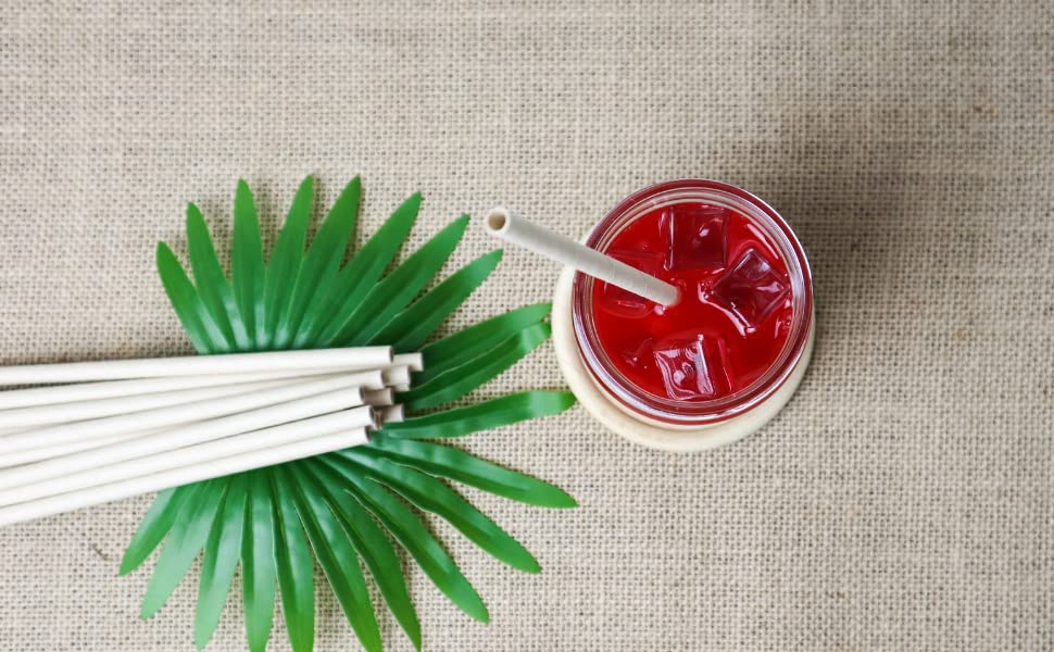 Eco Straws Disposable β Biodegradable Bamboo Paper Straw β Natural Compostable Long Drinking Straws for Cocktail, Smoothie, Coffee, Cereal, and Soft Drinks β Plastic Straws Alternative - 100pcs