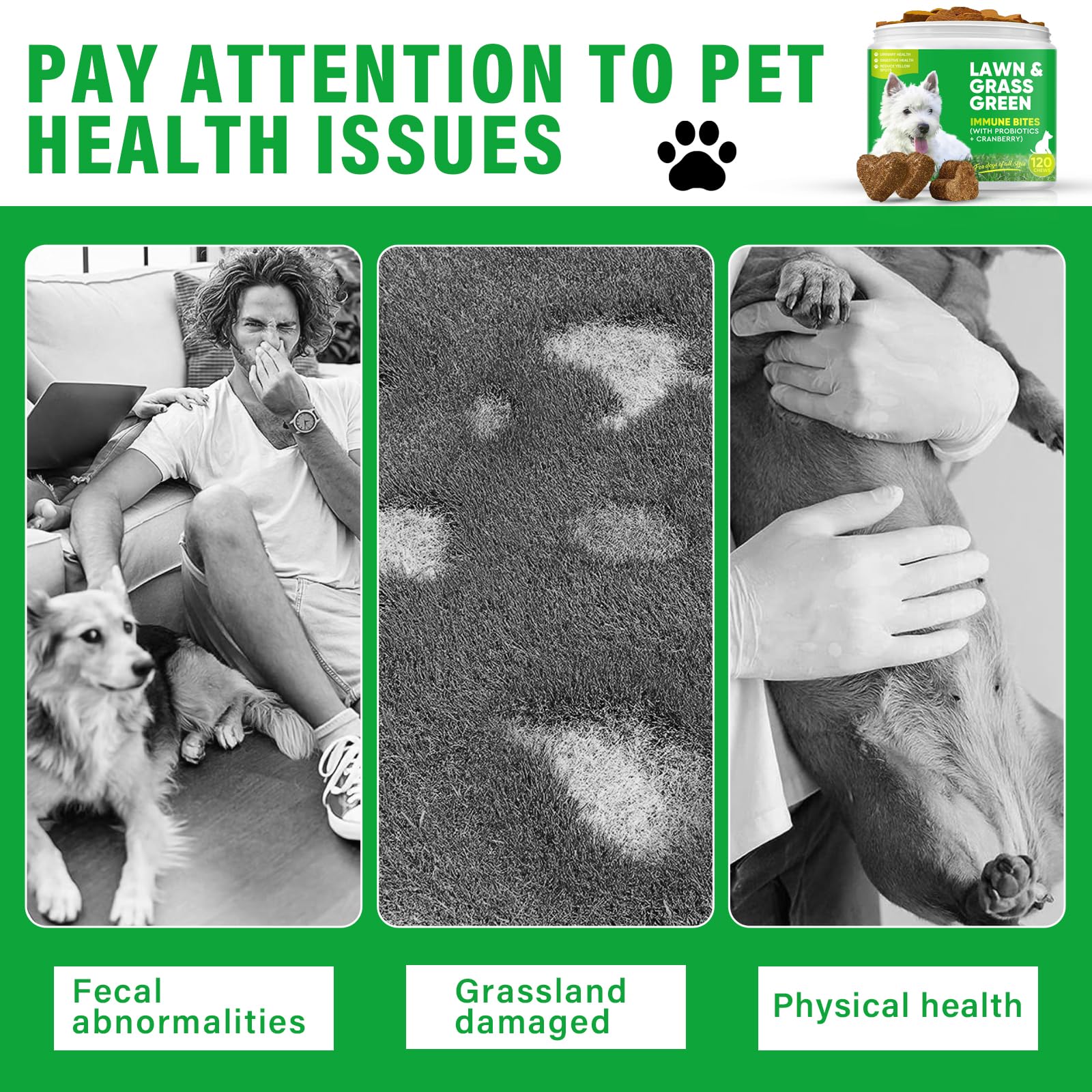 FILBA Dog Urine Neutralizer for Lawn, Grass Burn Spot Supplement Soft Chews for Dog Urine, Support Bladder, Kidney&Urinary Tract, Reduce Grass Burn/Pee/Yellow Spots, 120 Chews