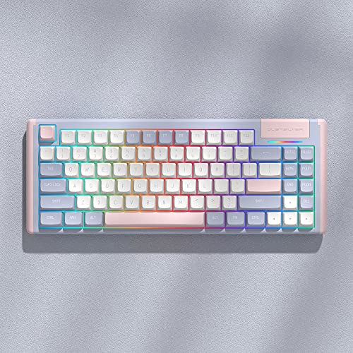 DUSTSILVER K84 Hot-Swappable Wired 75% Kawaii Mechanical Keyboard with Detachable Type-C, RGB Backlit, PBT Keycaps, Gateron Red Switches for Smooth Typing Office Work