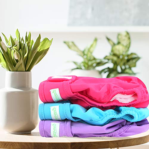 Wegreeco Washable Reusable Premium Dog Diapers, Medium, Bright Color, for Female Dog, Pack of 3