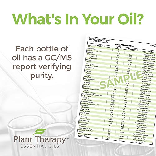 Plant Therapy Invigor Aid Essential Oil Blend 30 mL (1 oz) 100% Pure, Undiluted, Therapeutic Grade