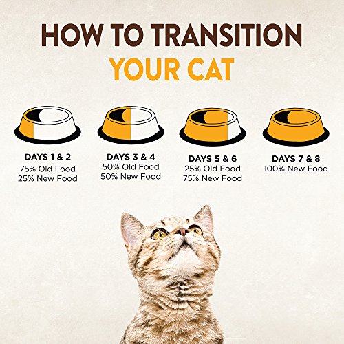 Wellness CORE Hearty Cuts Natural Grain Free Wet Canned Cat Food, Whitefish & Salmon, 5.5-Ounce Can (Pack of 24)