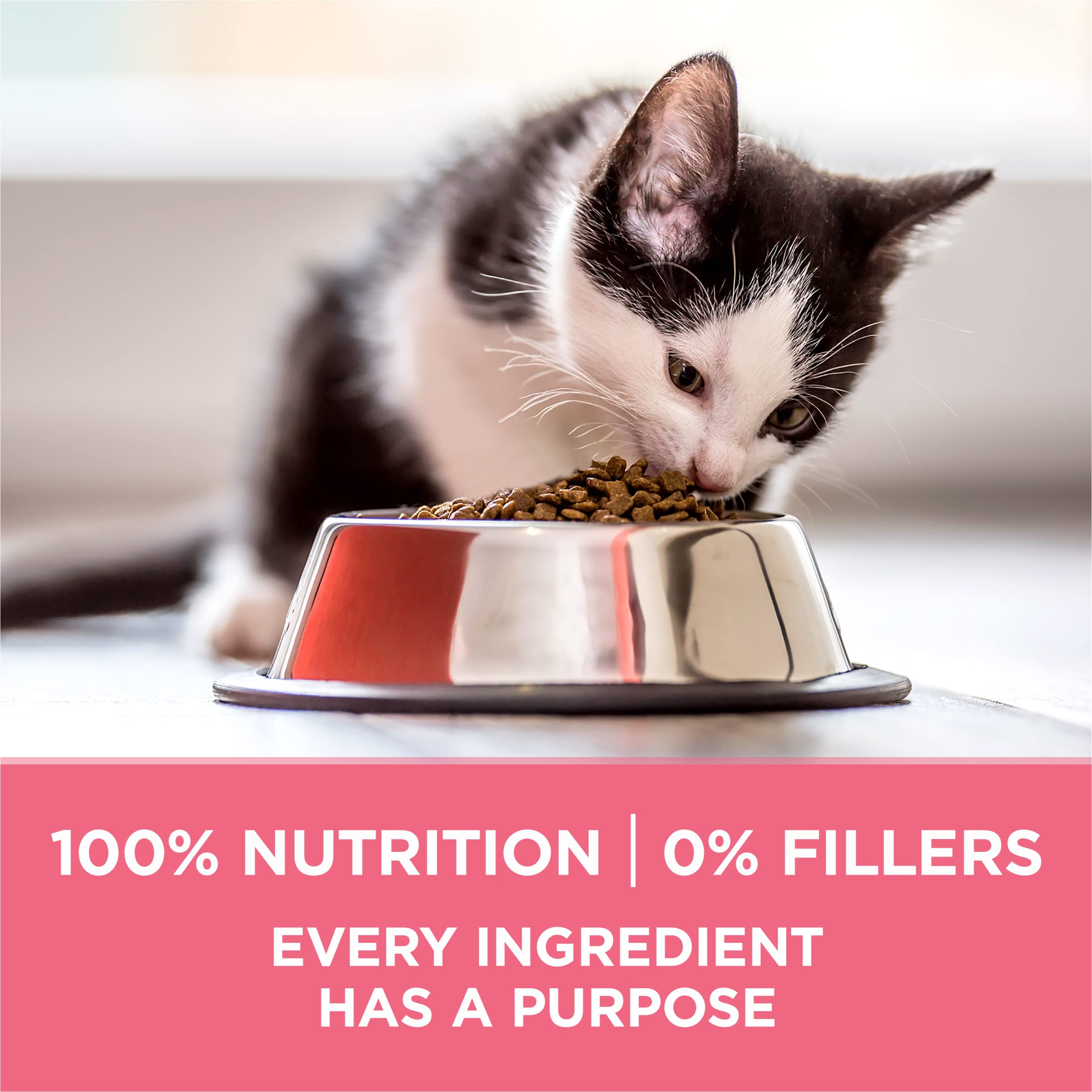 Purina ONE High Protein, Natural Dry Kitten Food, +Plus Healthy Kitten Formula - 16 lb. Bag