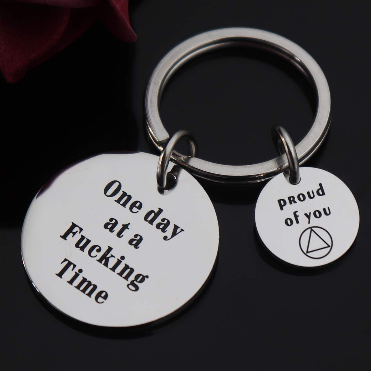 CHENVA Sobriety Gift One Day at a Time Keychain Addiction Recovery Gift Sobriety Gift for Women Men (One day at a fucking time (A))
