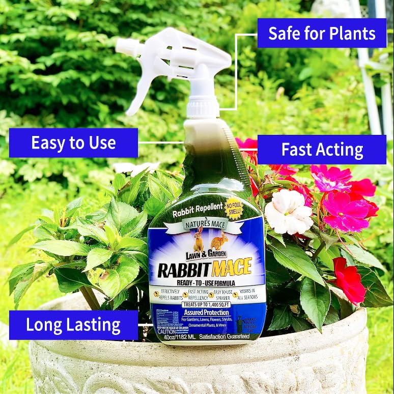 Nature’s MACE Rabbit Repellent 40oz Concentrate/Covers 28,000 Sq. Ft. / Rabbit Repellent and Deterrent/Keep Rabbits Out of Your Lawn and Garden/Safe to use Around Children & Plants