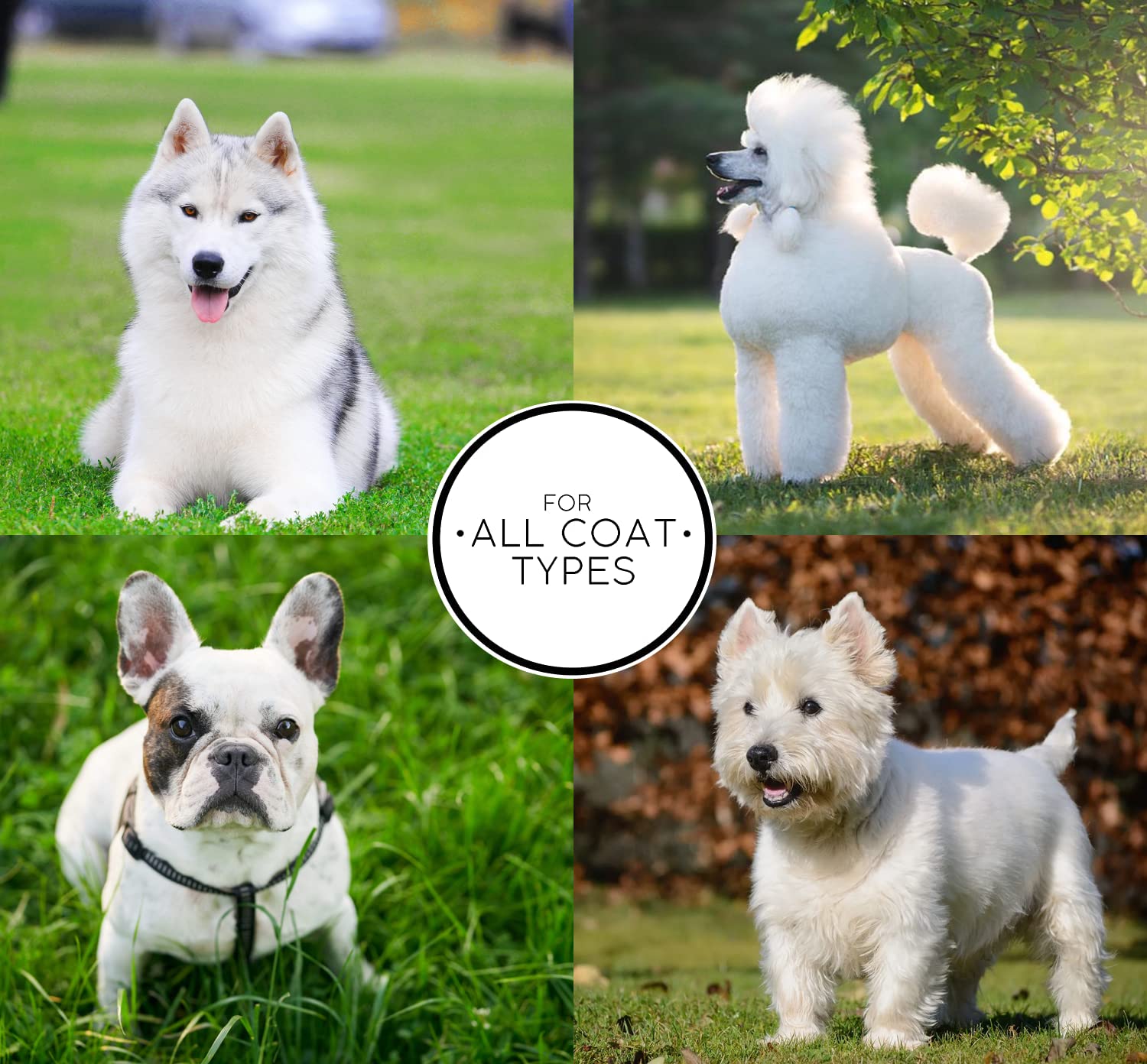 Chris Christensen Groomer's Bundle - White on White Treatment Dog Shampoo, Brightens Whites, Safely Removes Yellow - Ice on Ice Detangling Dog Conditioner, Demat and Detangle, Long Lasting Silkiness