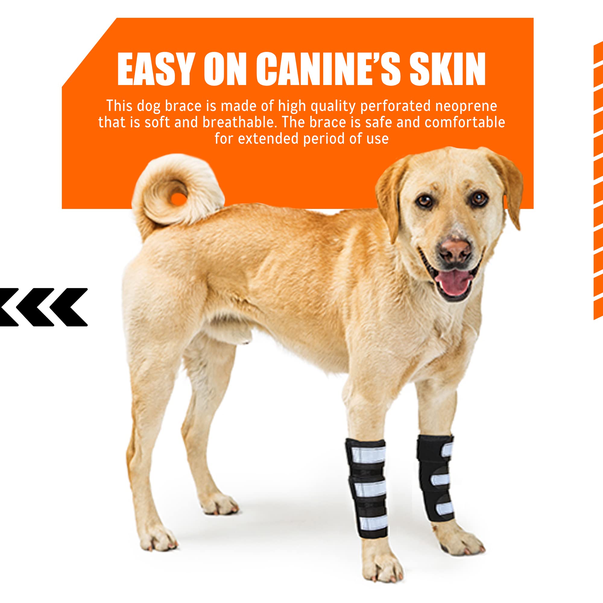 NeoAlly- Front Leg Brace for Dogs & Cats, Dog Leg Brace with Metal Spring Inserts, Dog Leg Sleeve for Carpal Support, Dog Leg Sleeve with Reflective Straps, L/XL, Pair