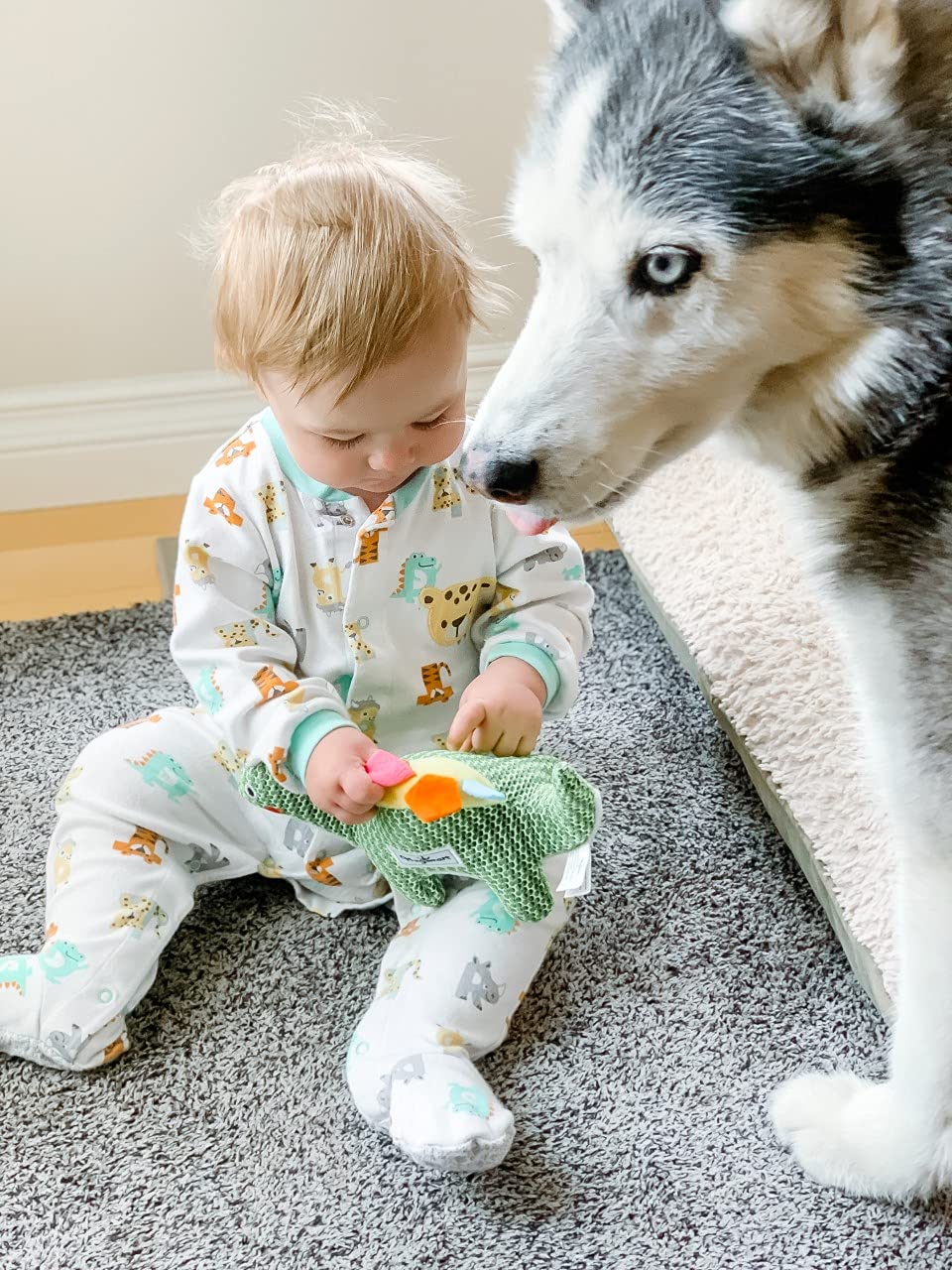 HugSmart Pet - Dinosaur Land | Squeaky Plush Dog Toys for Small Medium Dogs| Textured Sandwich Mesh Cute Teething Toys for Puppies