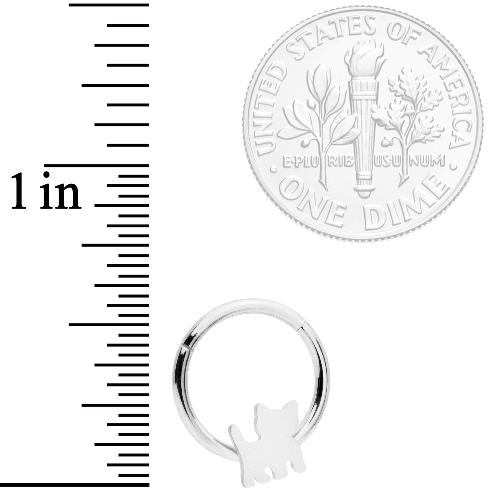 Body Candy 16G Steel Hinged Segment Ring Seamless Cartilage Nipple Ring Kitty Cat Nose Hoop 10mm