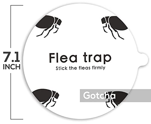 Gotcha! 12 Pack Flea Trap Refill Discs | Sticky Traps Glue Board Refills | Non-Toxic | 7.1 Inch | Eco-Friendly | Family and Pet Safe | Fits Ultimate Flea Trap Aspectek Qremove Victor
