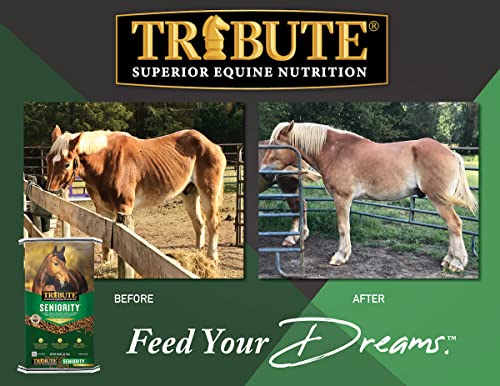 TRIBUTE Kalmbach Feeds Seniority Pellet