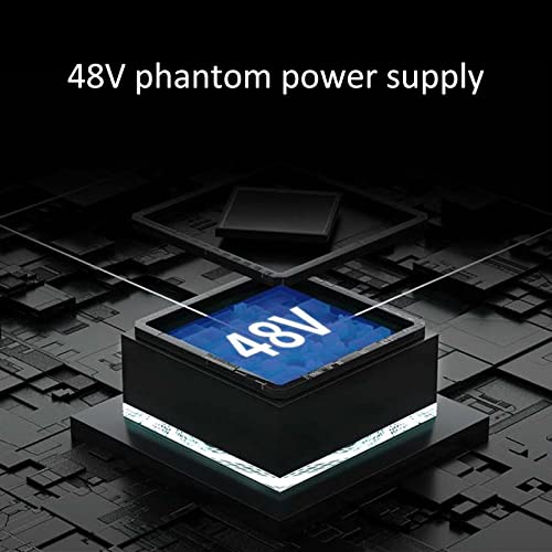 GOWENIC 2 Channel Audio Mixer, DJ Audio Mixer, USB 48V Phantom Power Compact Sound Mixing Console USB Soundcard for PC Recording Home Karaoke Internet