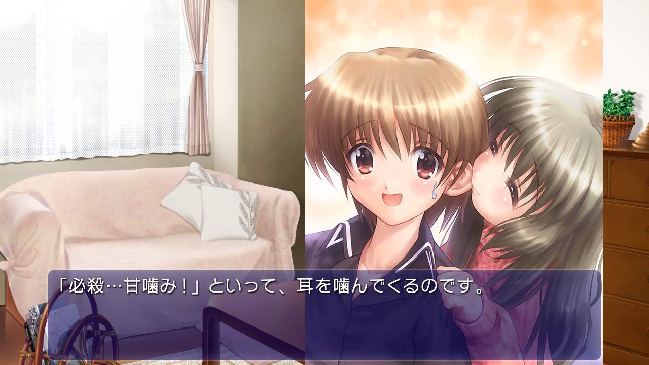 Clannad Hikari Mimamoru Sakamichi De (English Language) (Japan Import) RegionFree