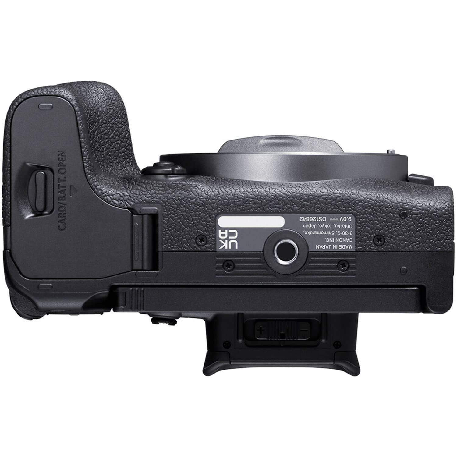 Canon EOS R10 Mirrorless Camera (Body Only) + Canon DM-E100 Directional Microphone + 2pc 64GB Memory Cards + LED Video Light + Case & More (Renewed)