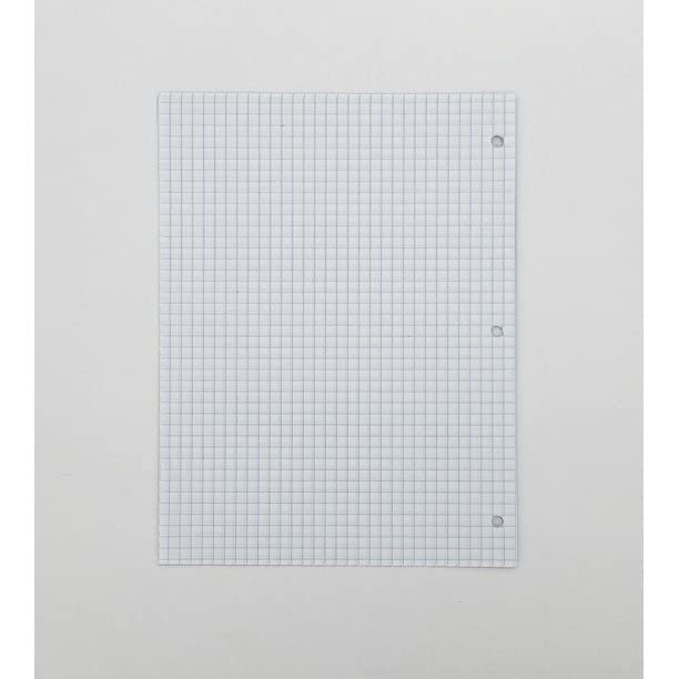Norcom Quad Filler Paper, 10-1/2" x 8", 4 Squares/Inch