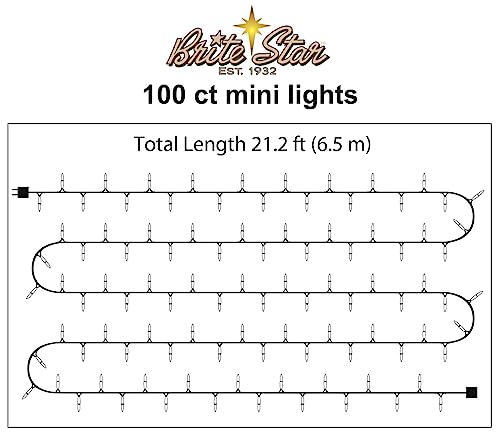Brite Star 100 Count Mini String Christmas Lights, Purple - 22 feet Indoor/Outdoor Christmas Tree Lights with White Wire