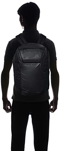Gregory Mountain Products Resin 25 Everyday Outdoor Backpack,Obsidian Black,One Size